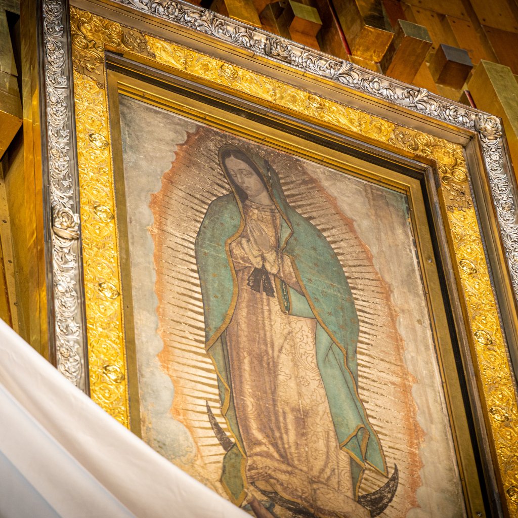 Our Lady of Guadalupe: The Miraculous Apparitions of Juan Diego ...