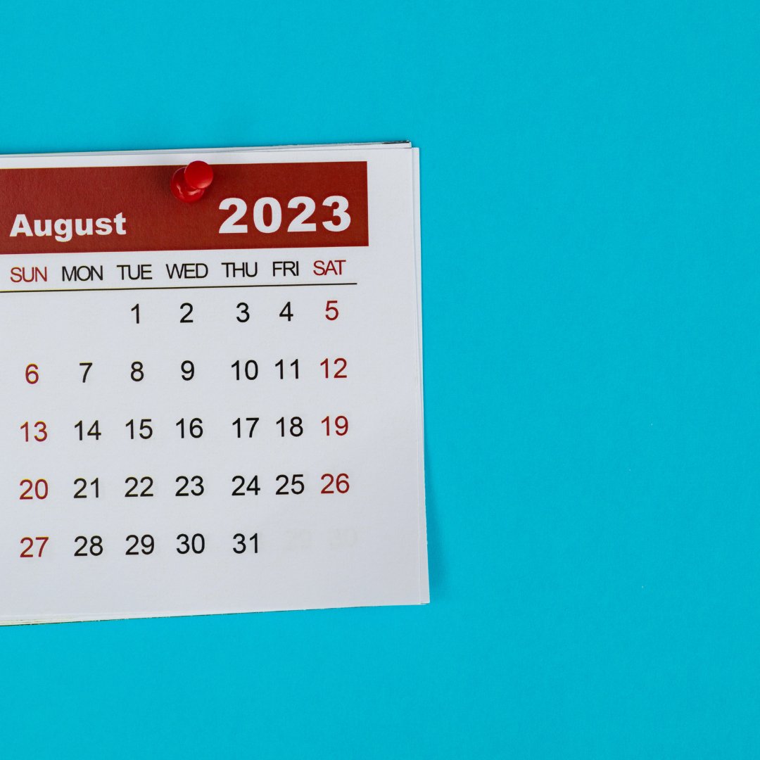 Immersing in the Faithful Journey: August in the Catholic Liturgical C ...