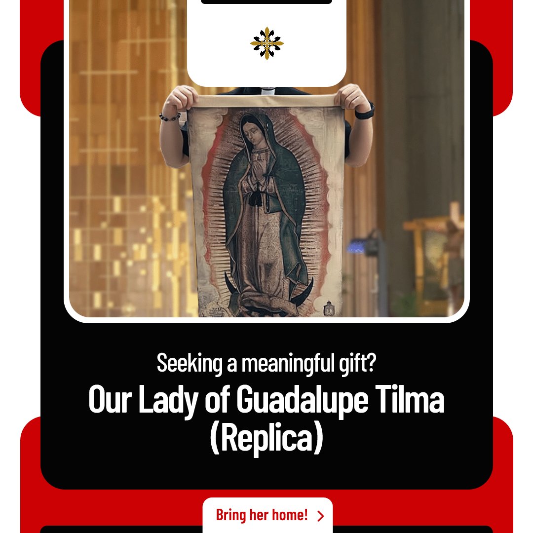 Virgen De Guadalupe Memes Rosa De Guadalupe Meme By Kaleno87 :)